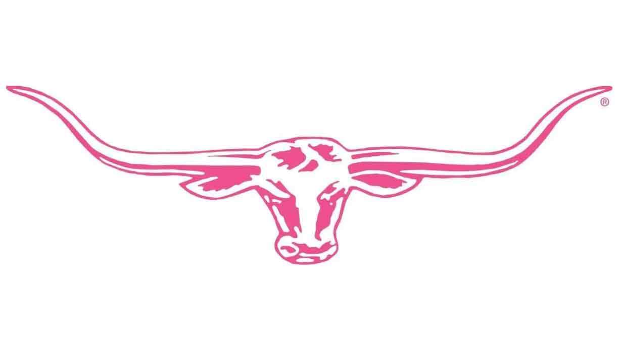 Buy R.M.Williams Longhorn Decal Sticker (STRMW-PNK) Pink 70CM Online ...