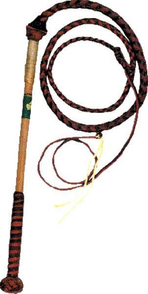 Nemeth Childrens Redhide Whip 4ft 4 Plait, with Youth Handle | Allingtons